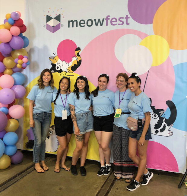 Inside meowfest, Vancouver's First Cat Festival – meowbox
