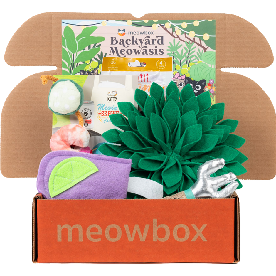 Products – meowbox