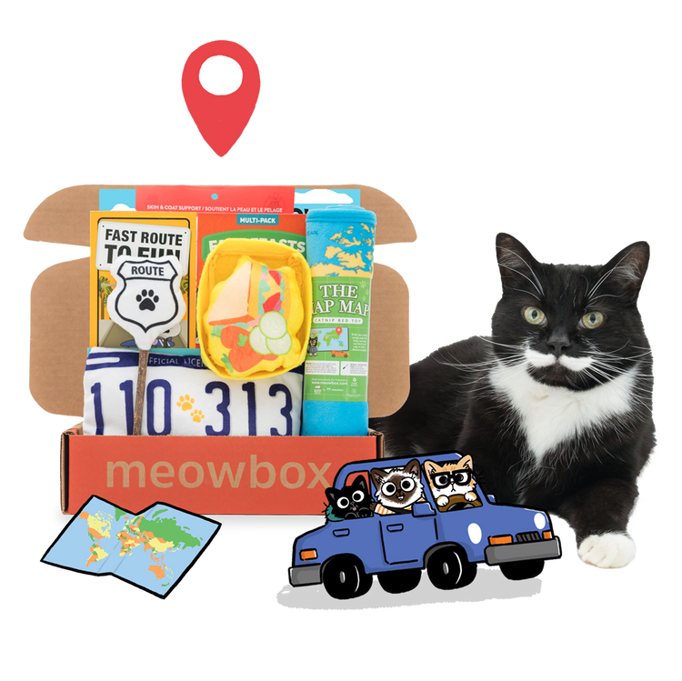 meowbox - A cat subscription box filled with fun unique toys and treat