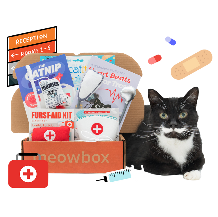 meowbox - A cat subscription box filled with fun unique toys and treat