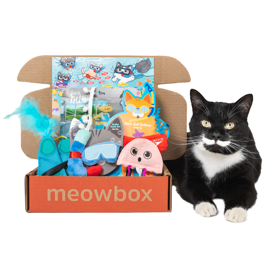 meowbox - A cat subscription box filled with fun unique toys and treat