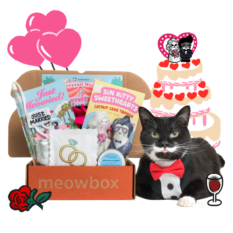 meowbox - A cat subscription box filled with fun unique toys and treat